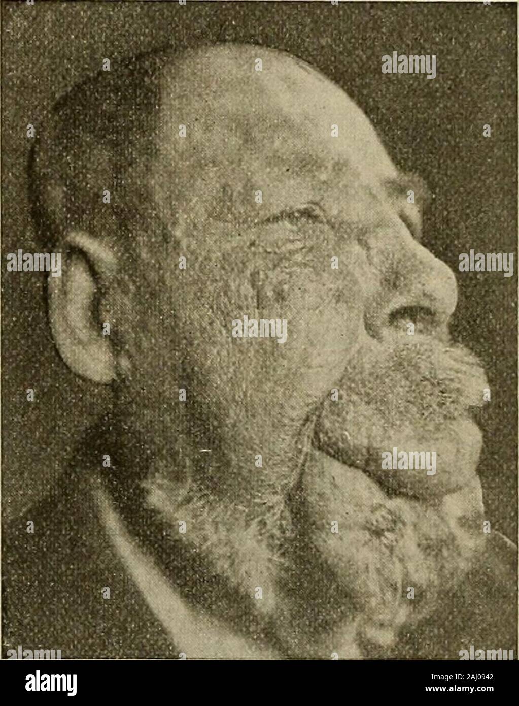 Gioma hi-res stock photography and images - Alamy