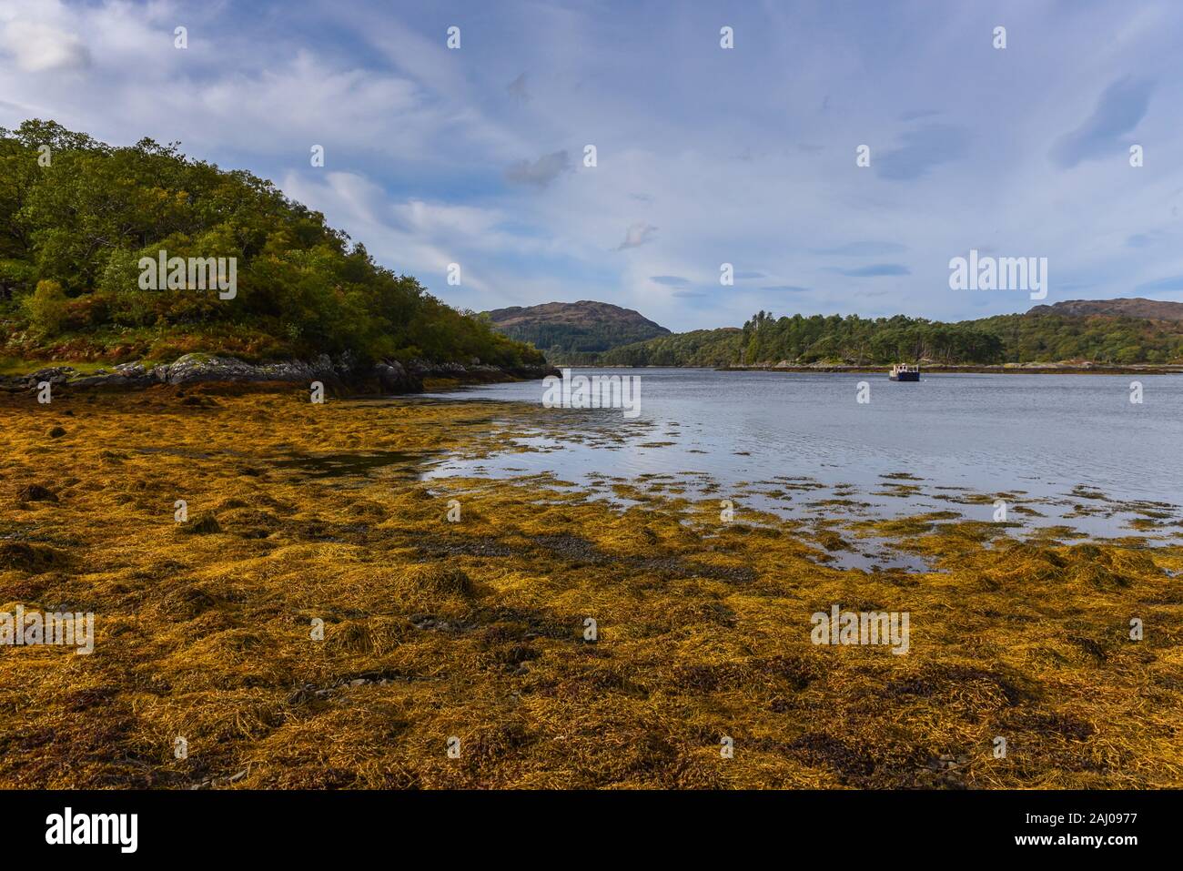 Loch moidart scotland hi-res stock photography and images - Alamy