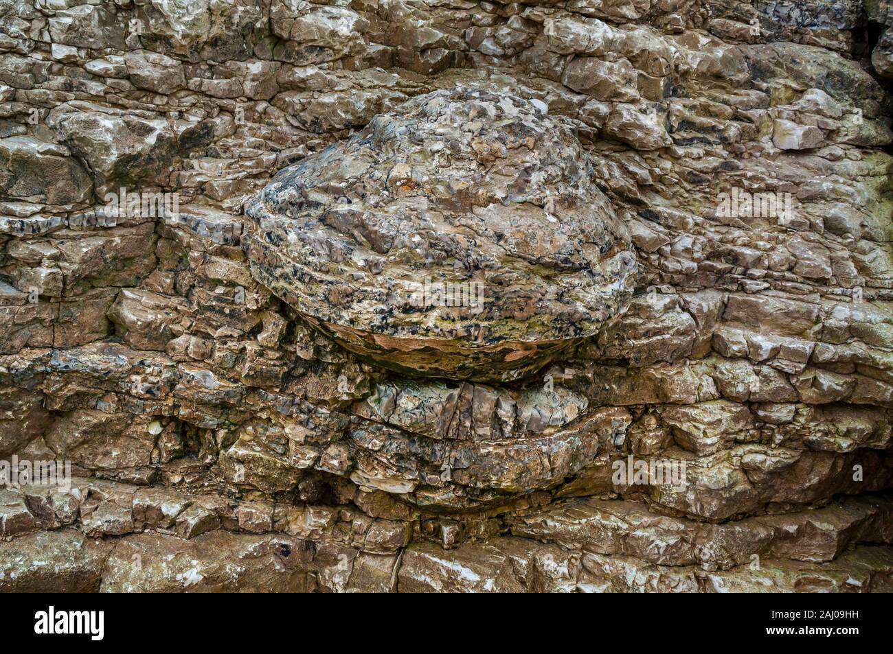 'Paramoudra' flint nodule formation in the chalk cliffs at North ... 'Paramoudra' flint nodule formation in the chalk cliffs at North ...