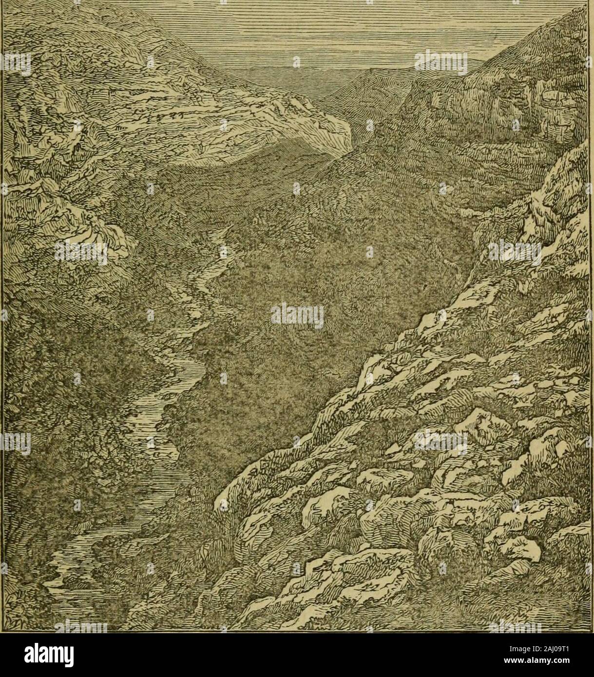 Mukhmas hi-res stock photography and images - Alamy