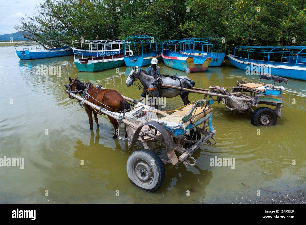 Lake ziway southern ethiopia hi-res stock photography and images - Alamy