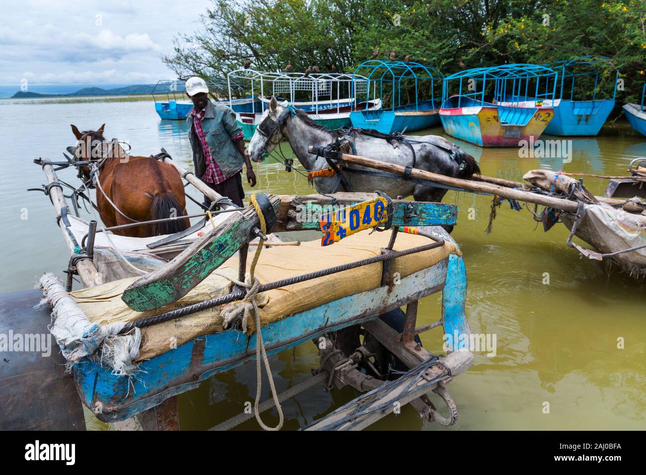 Ziway Lake, Oromía, Etiopia, Africa Stock Photo - Alamy