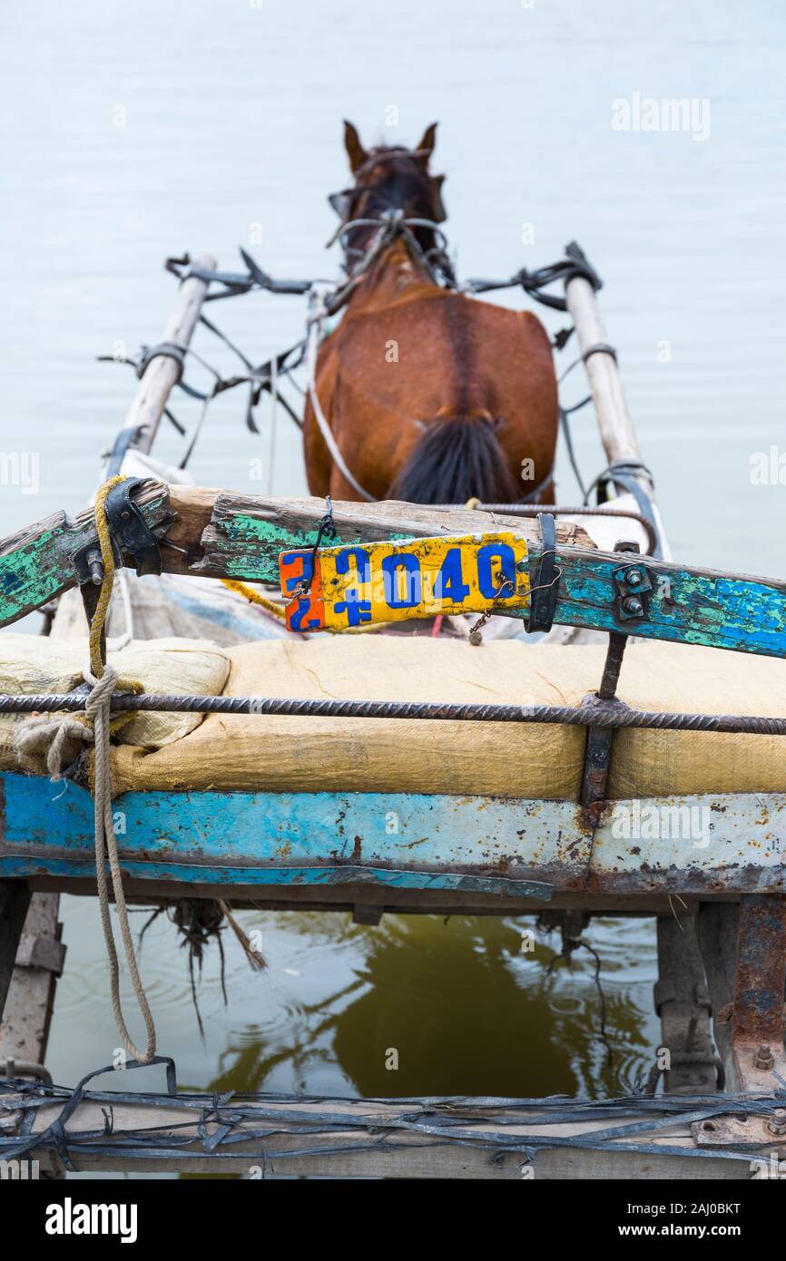 Lake ziway southern ethiopia hi-res stock photography and images - Alamy