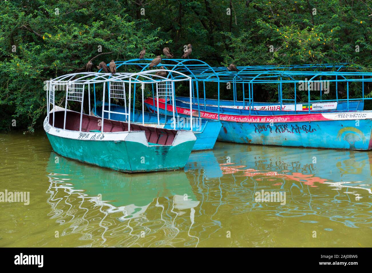 Lake ziway southern ethiopia hi-res stock photography and images - Alamy