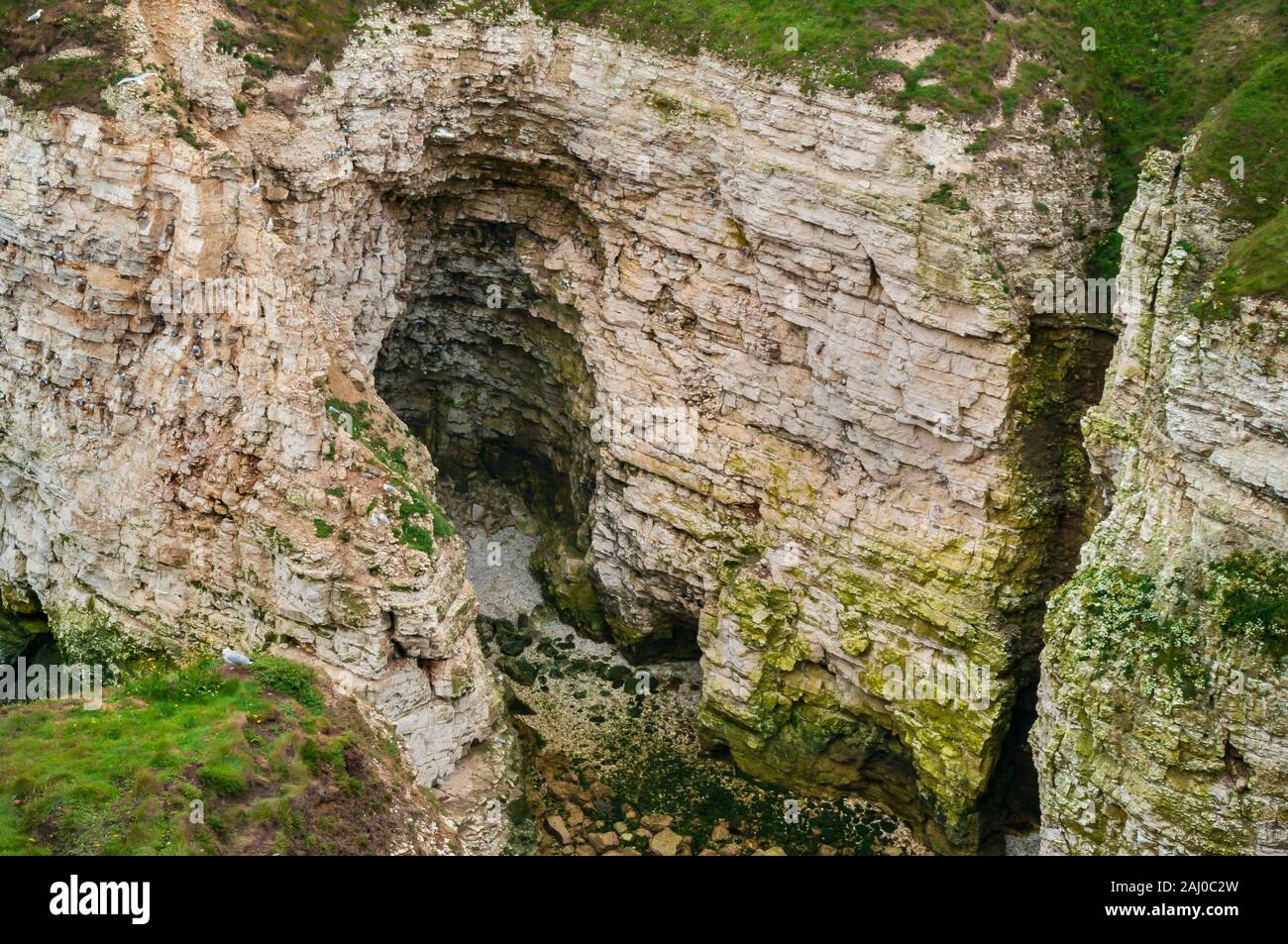 Eroded sea-caves at North Landing at Flamborough Head, Humberside ...