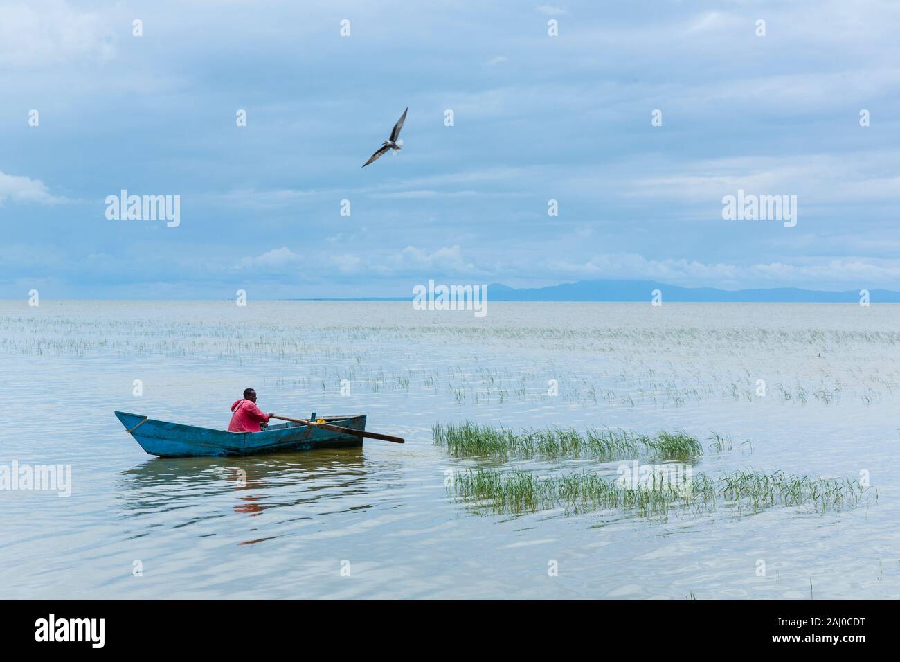 Lake ziway southern ethiopia hi-res stock photography and images - Alamy
