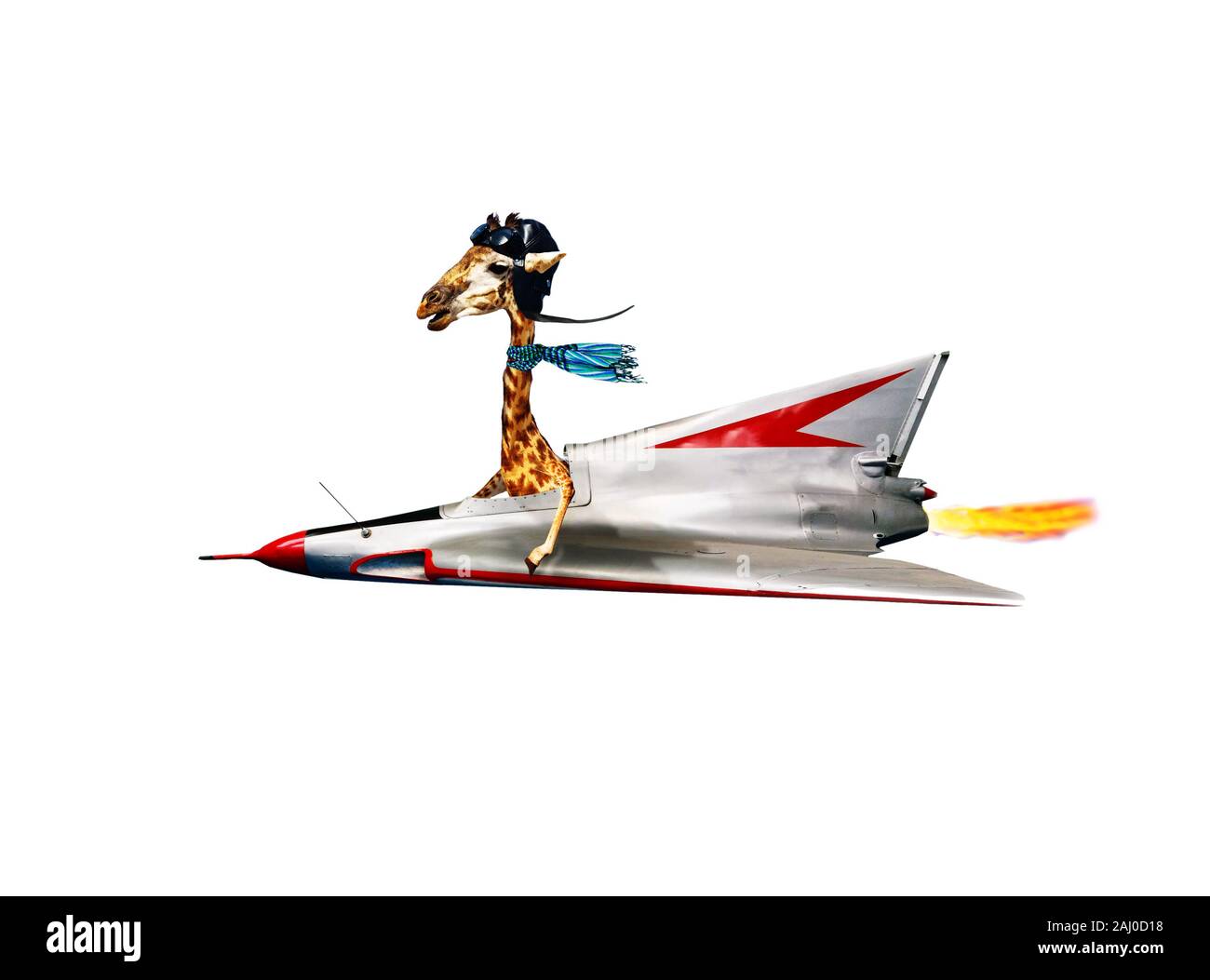 Winner pilot Cut Out Stock Images & Pictures - Alamy