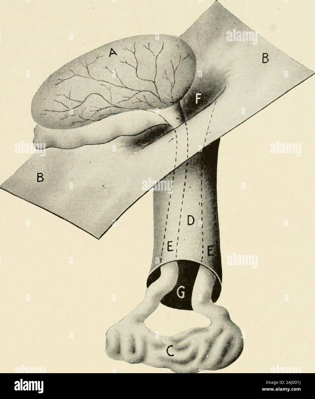 On one part perforation hi-res stock photography and images - Alamy