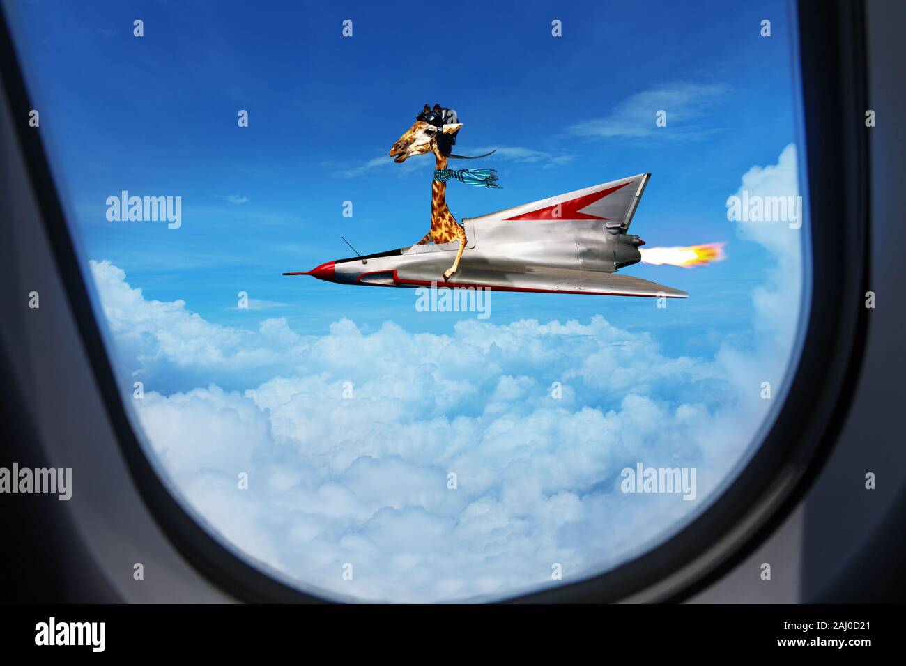 Cute giraffe pilot fly on fast jet plane race Stock Photo - Alamy