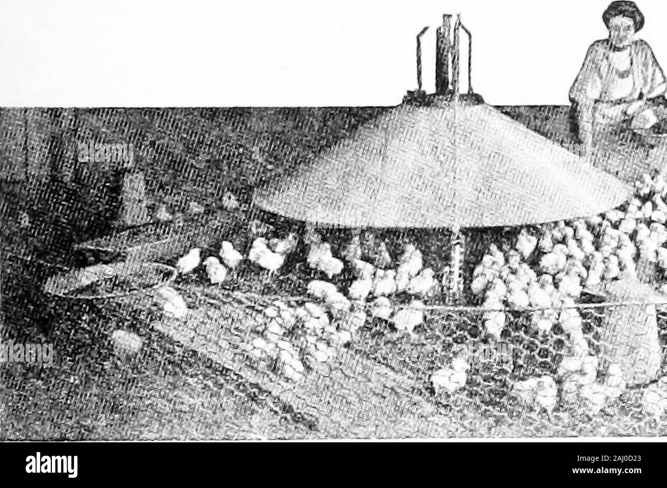 Successfully operate Black and White Stock Photos & Images - Alamy