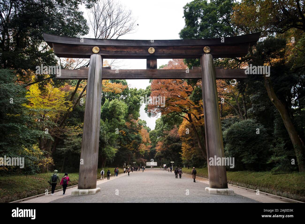 Large torii gate at the entrance to the Meiji Shrine, Shibuya, Tokyo ...
