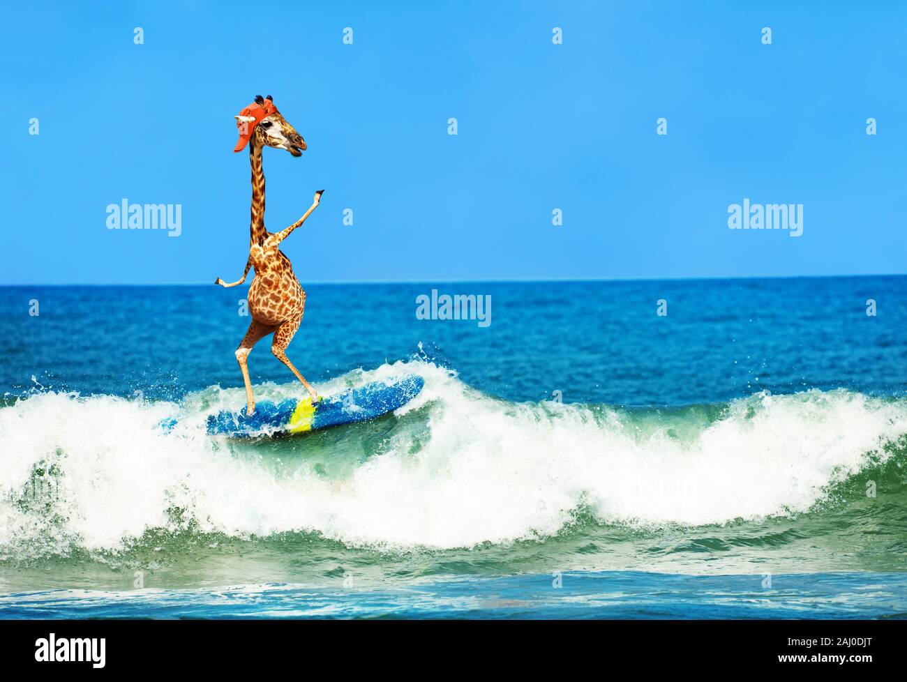 Surfboard cartoon hi-res stock photography and images - Alamy