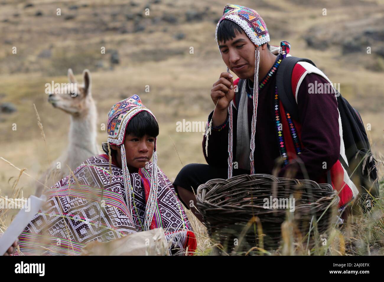 Man with lamas hi-res stock photography and images - Alamy