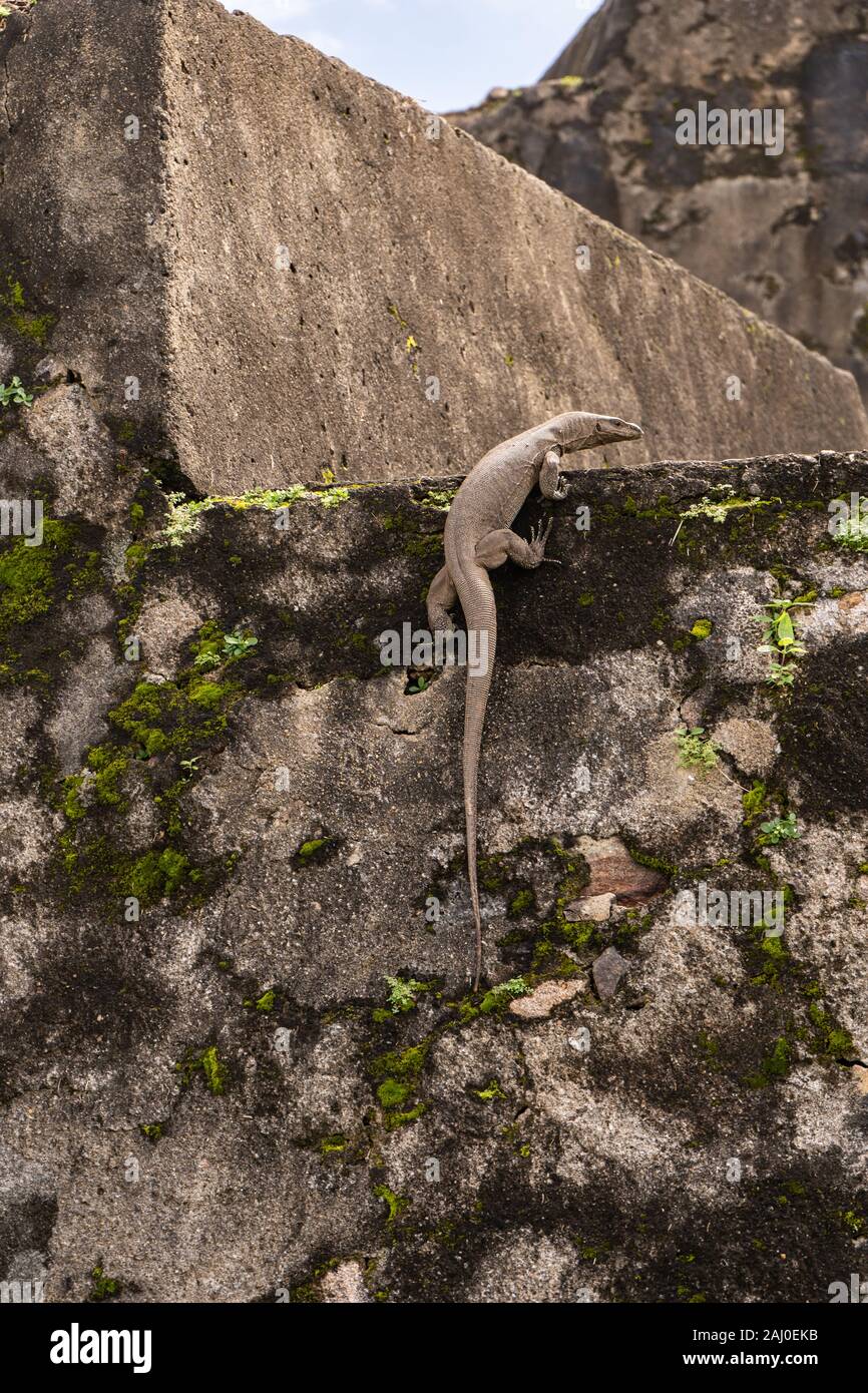 Big wall climbing hi-res stock photography and images - Alamy