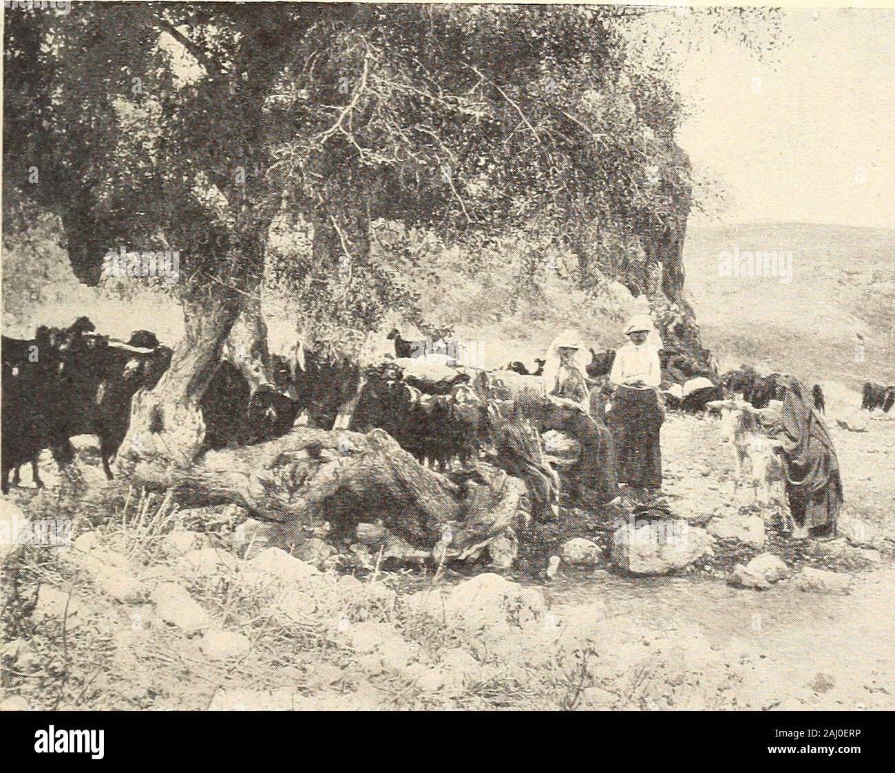 17 3 4 x 25 1 2 hi-res stock photography and images - Alamy