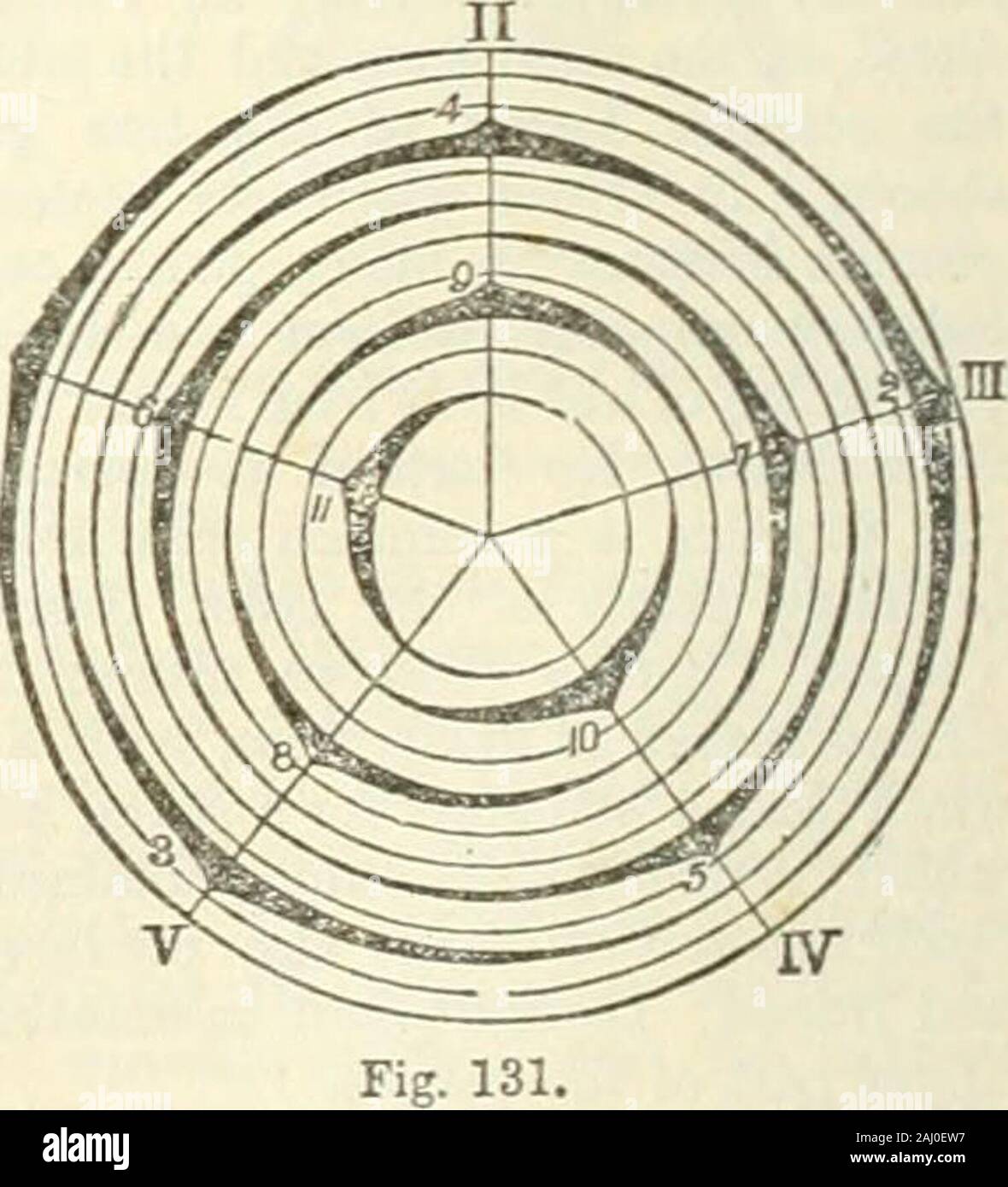 Angular spiral divergence hi-res stock photography and images - Alamy