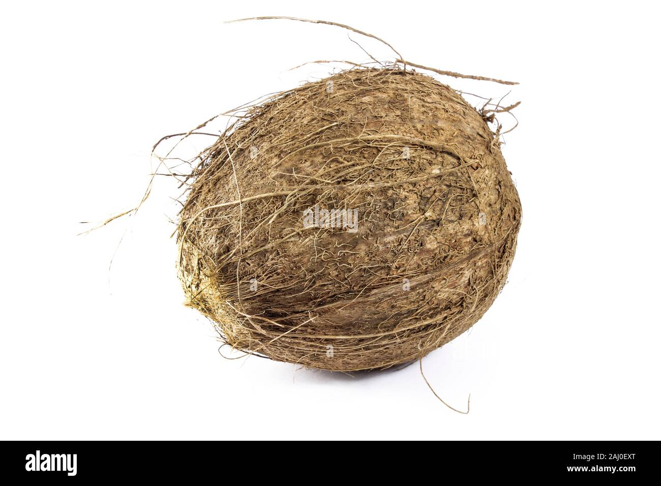 Coconut close-up isolated on white Stock Photo - Alamy
