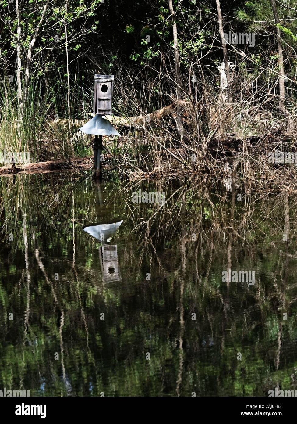 Outdoors bird house hi-res stock photography and images - Alamy