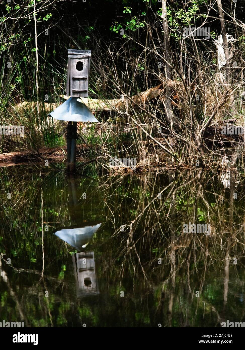 Beautiful wooden bird houses hi-res stock photography and images - Alamy