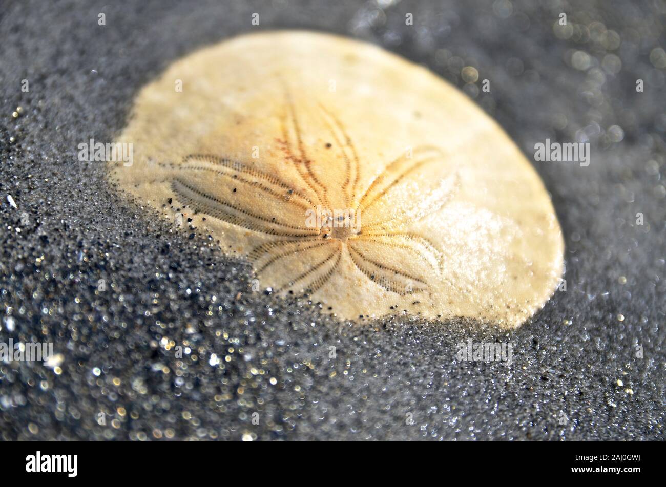 Hidden treasure hi-res stock photography and images - Alamy