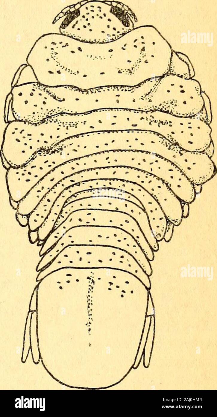 Sec triangular hi-res stock photography and images - Alamy