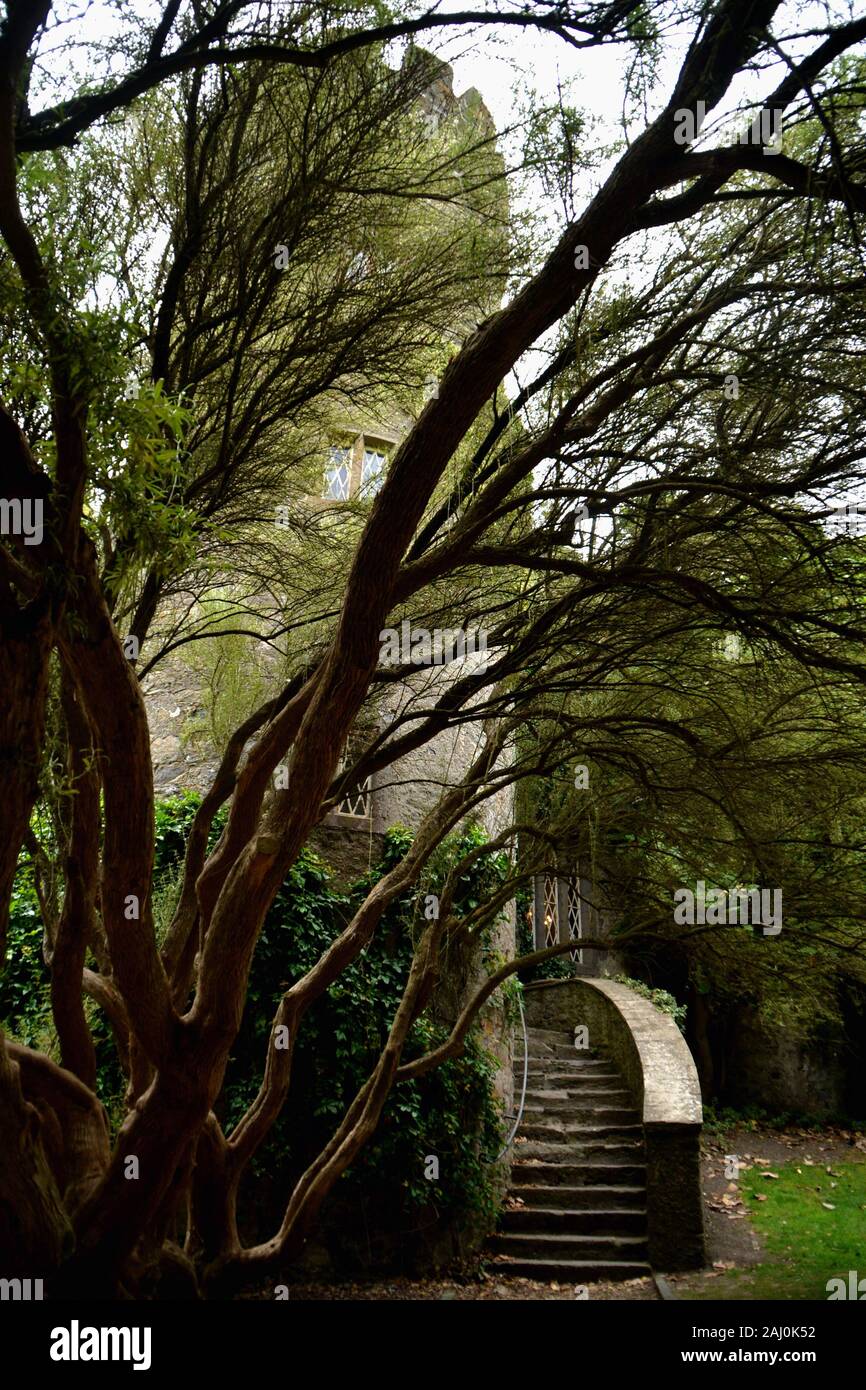 Castle Tower of Malahide hidden behind tree branches Stock Photo - Alamy