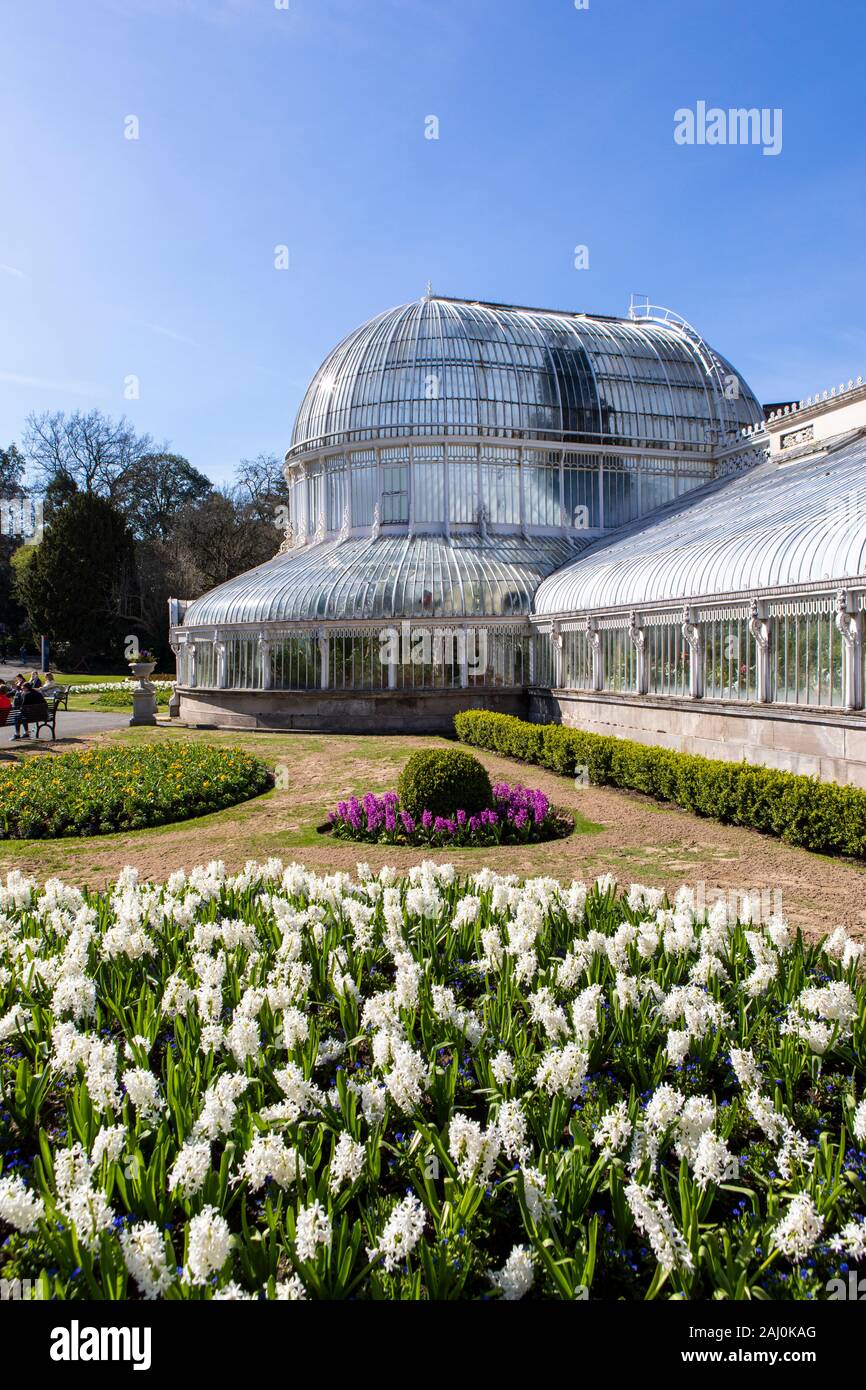 Greenhouse botanic gardens belfast hi-res stock photography and images ...