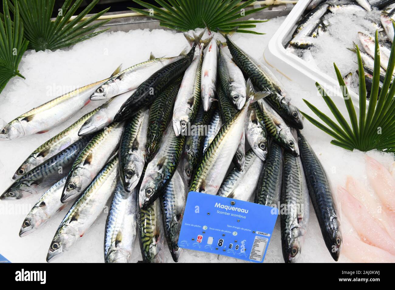 Mackerels on a fishmonger's stall Stock Photo - Alamy