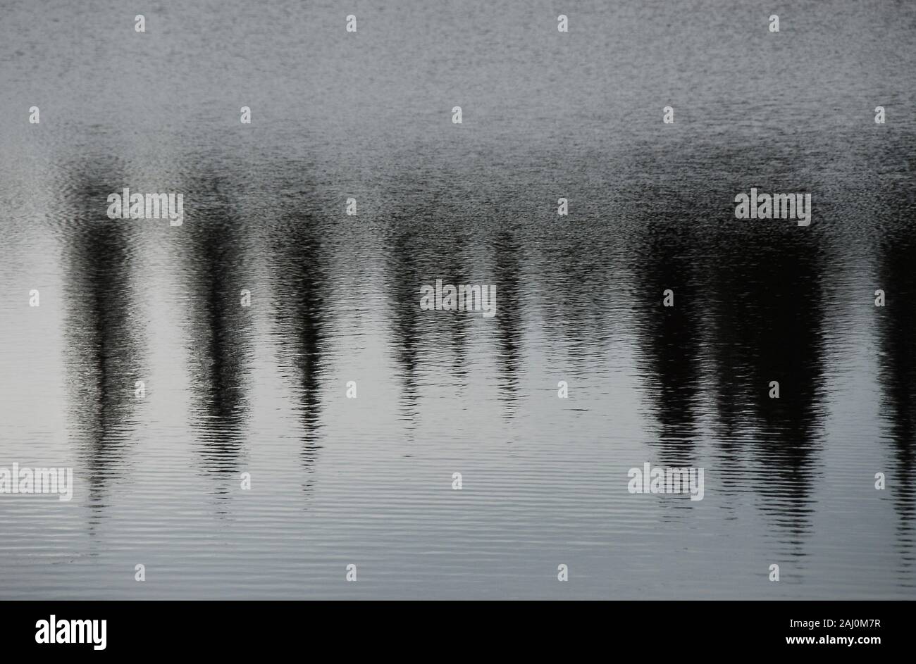 A beautifully abstract image of the upside down water reflection of ...