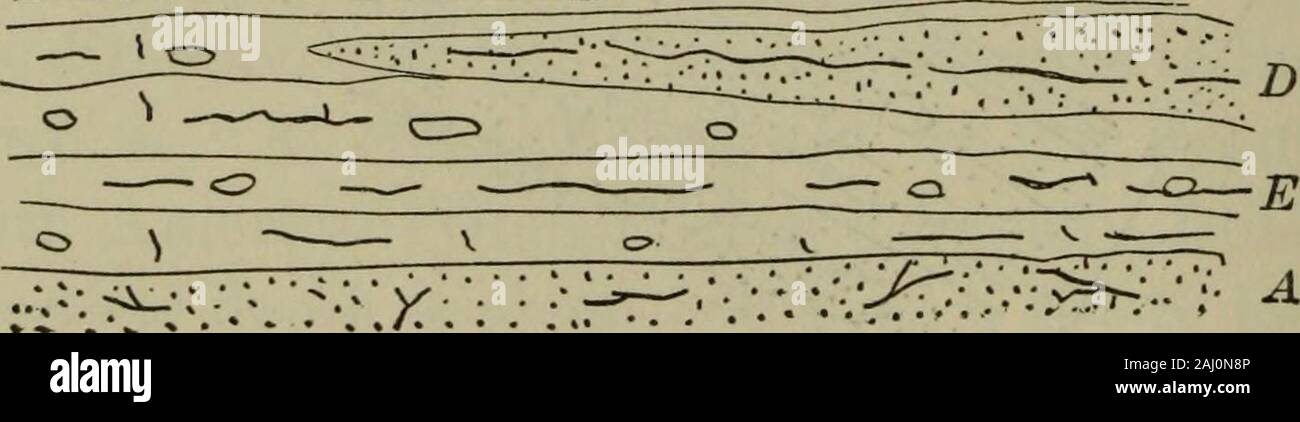 Antioqueno hi-res stock photography and images - Alamy