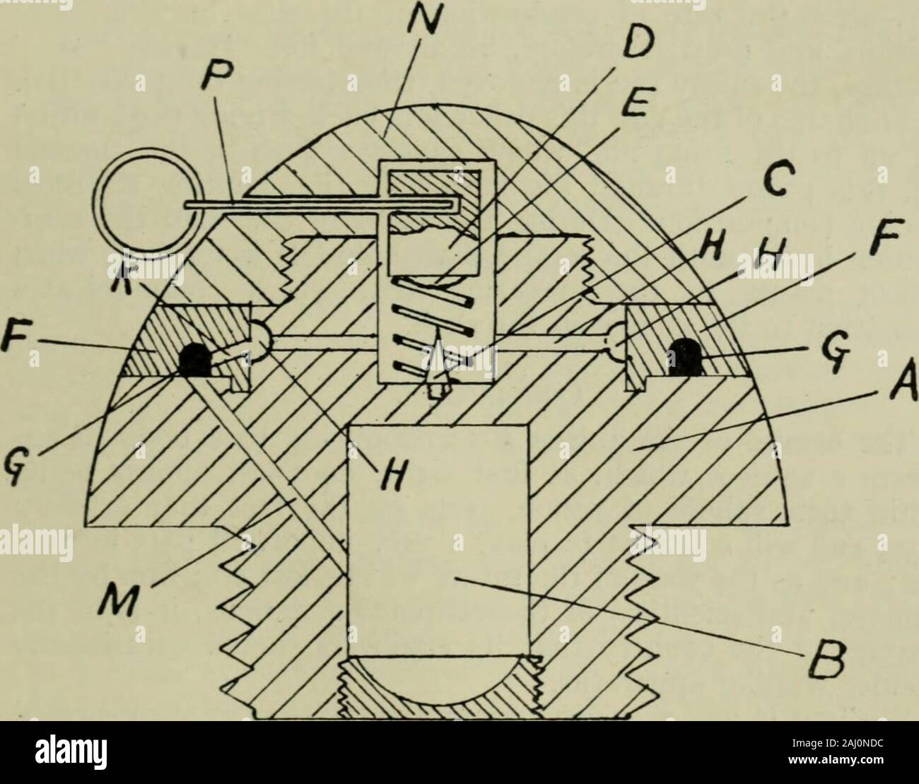 Journal . ENGINEERING POINT OF VIEW. 155 (G), under the action of ...