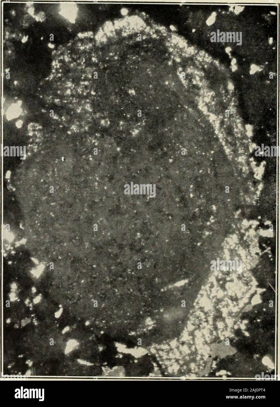 Crossed nicols hi-res stock photography and images - Alamy