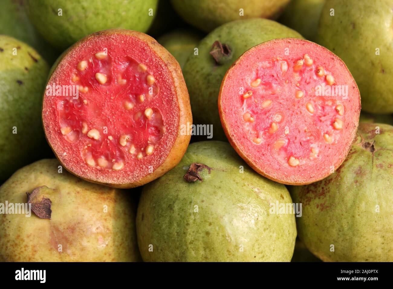 Guava Fruit Images Explore Our White Guava Fruit Tree | Eureka Farms