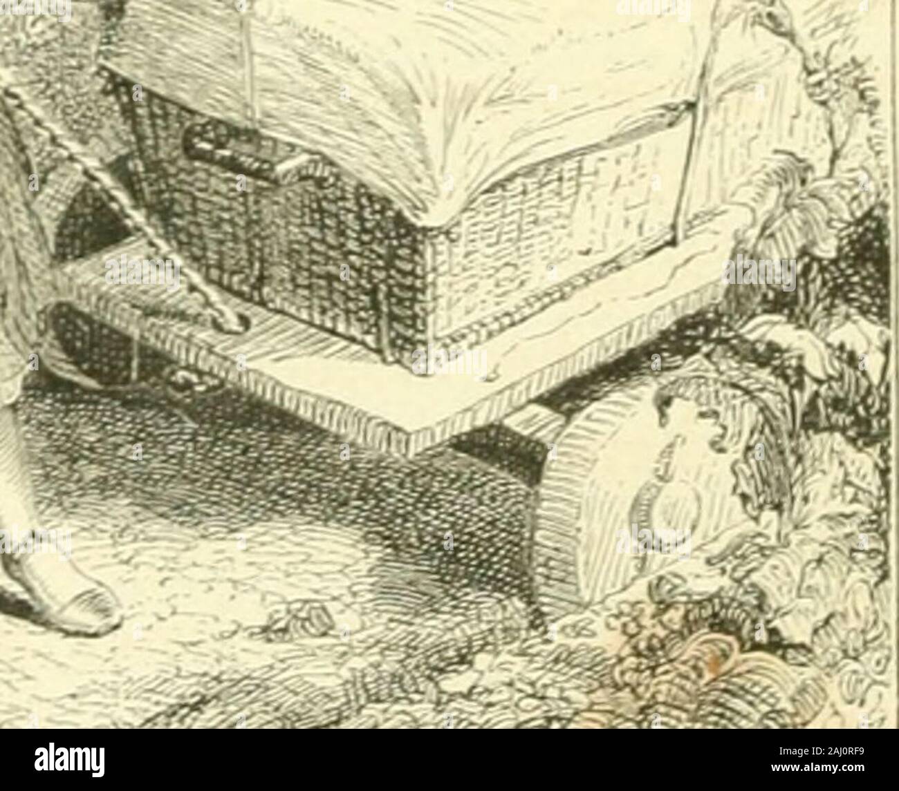 Fat betty hi-res stock photography and images - Alamy