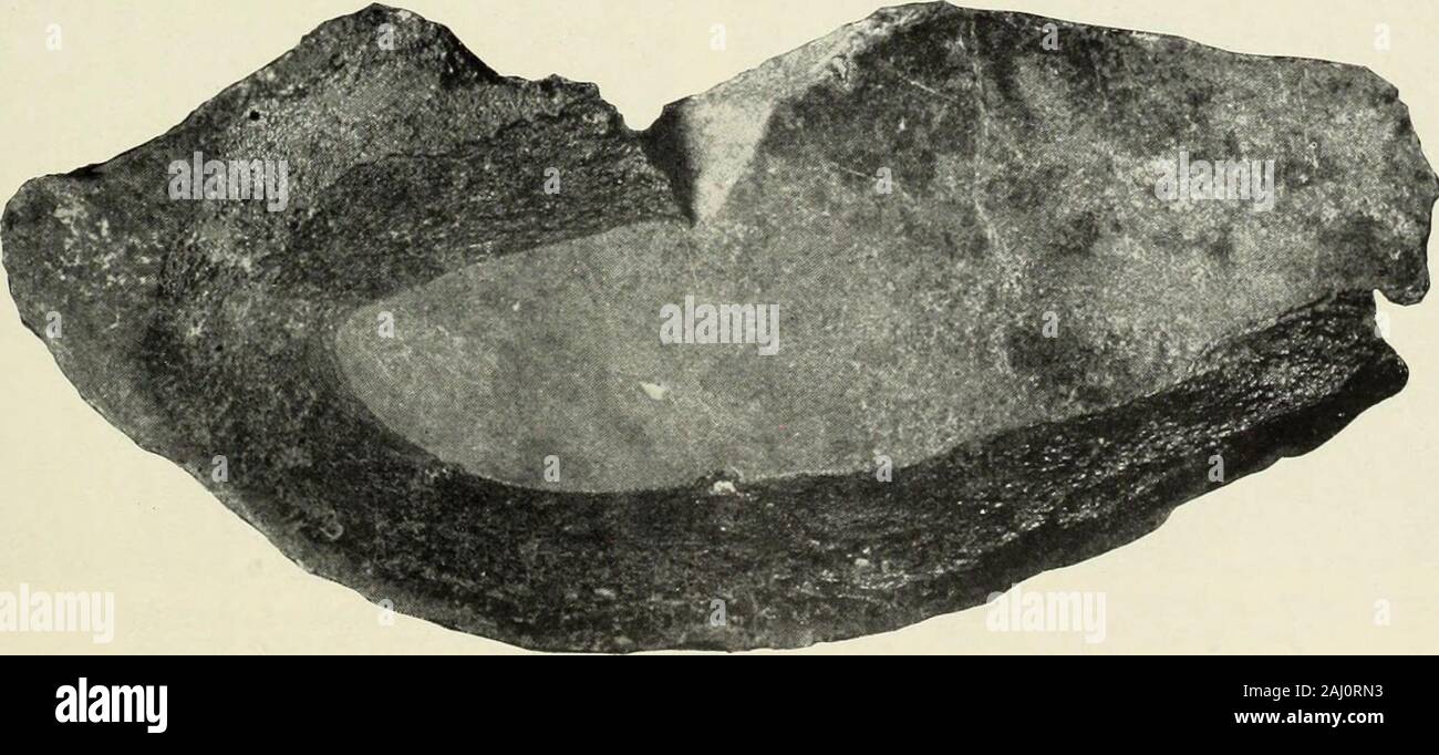 Mine survey in zinc hi-res stock photography and images - Alamy