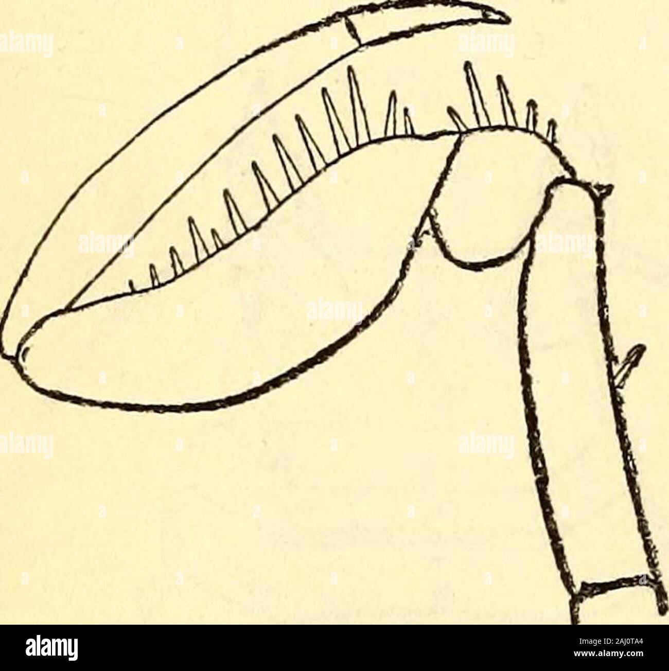 162 162 5mm hi-res stock photography and images - Alamy