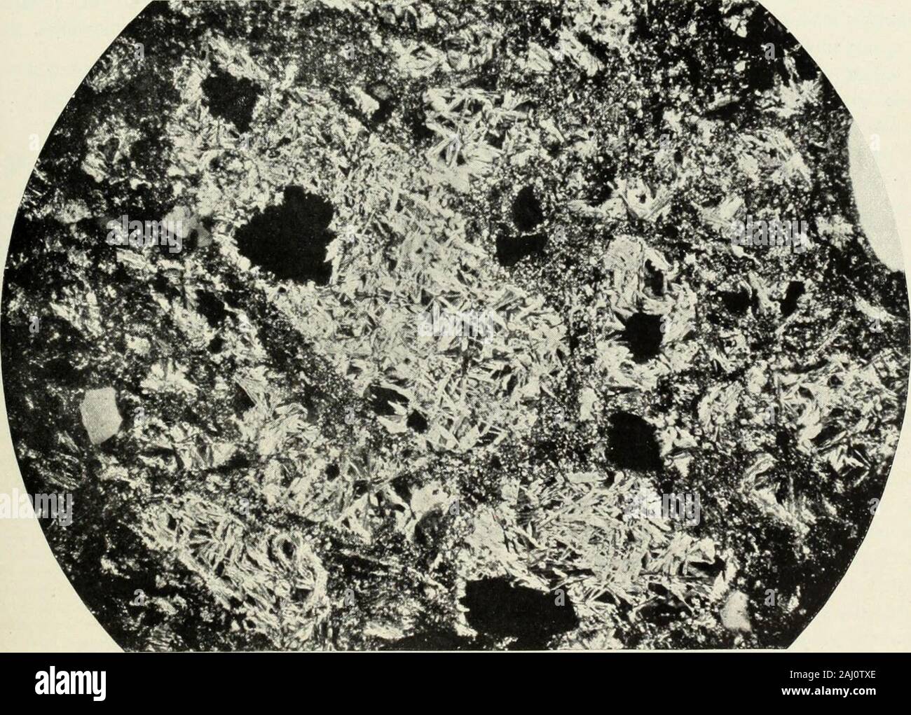 The ore deposits of Utah . A. PIIOTOMICHOGHAPII OF A SPECIMEN OF ROCK ...