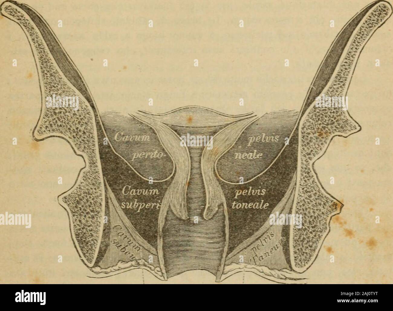 Una porta dei medici hi-res stock photography and images - Alamy