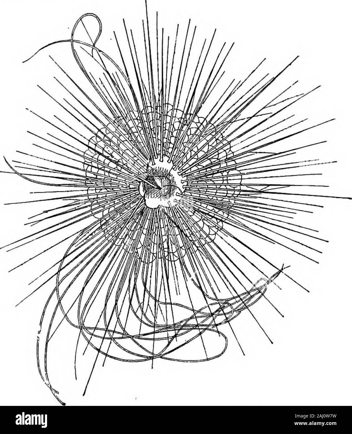 Silicate Lattice High Resolution Stock Photography and Images - Alamy