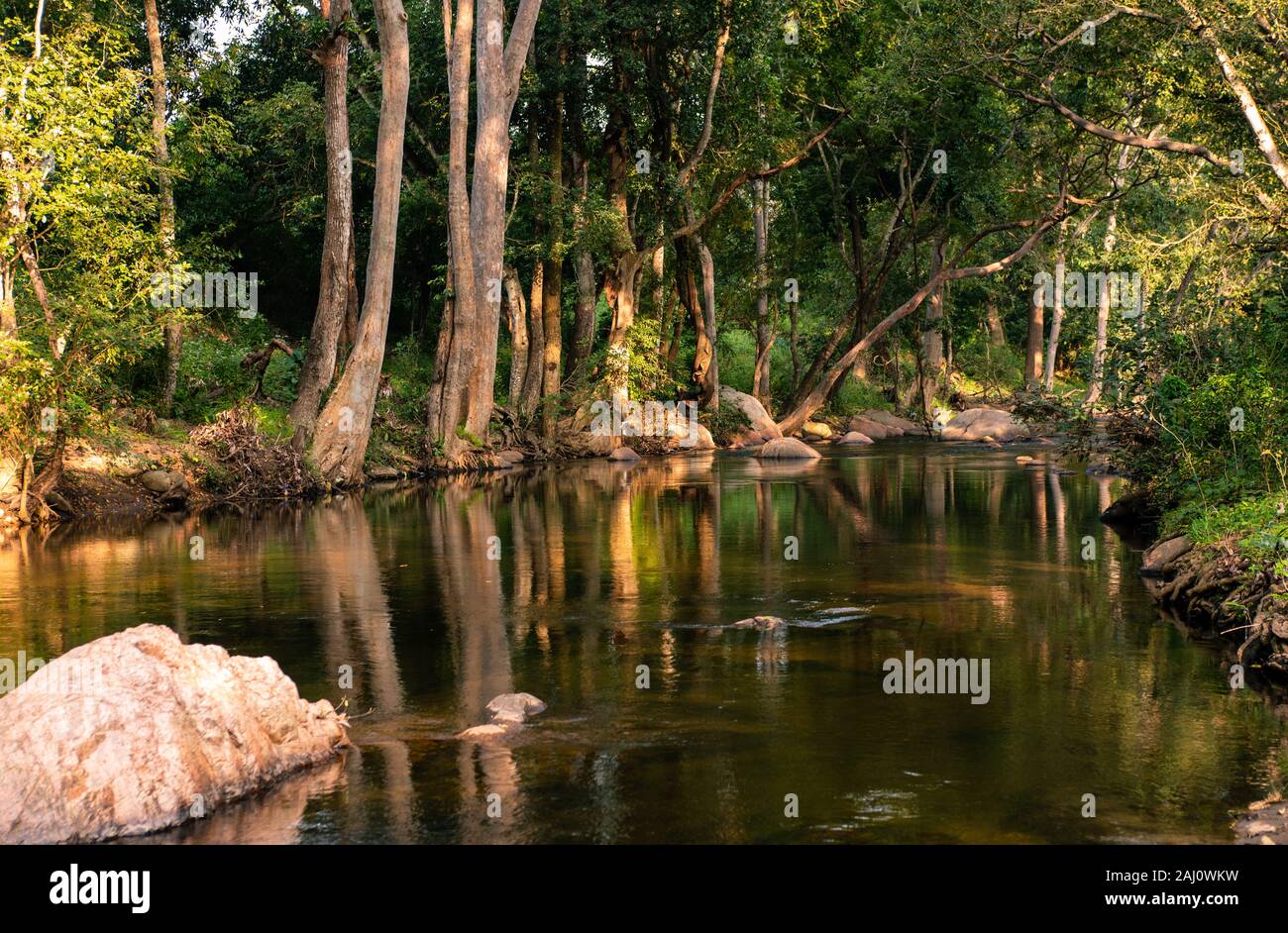 Chinnar river flowing through Chinnar Wildlife Sanctuary Stock Photo ...