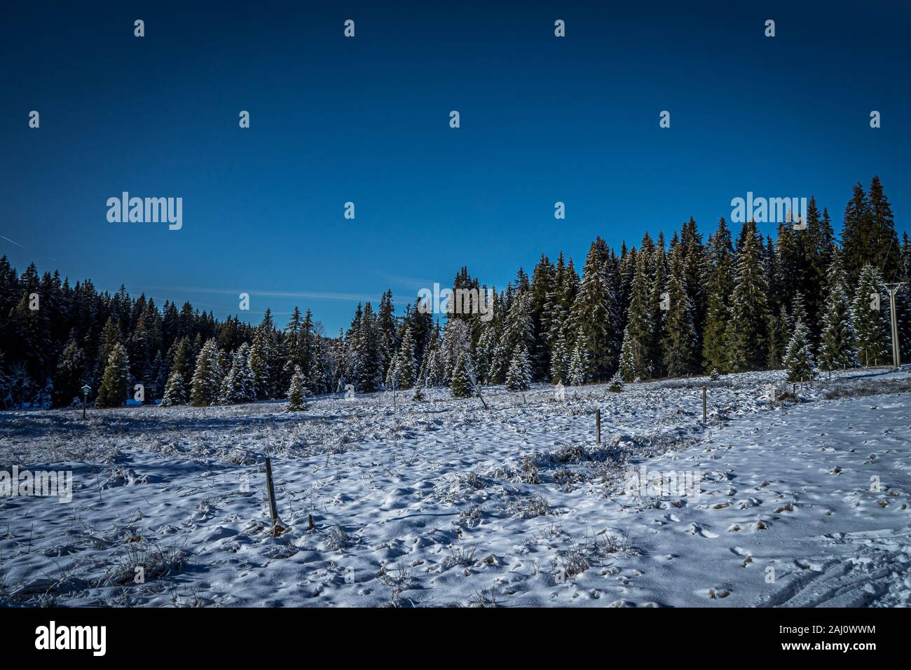 The Bohemian Forest, known in Czech as Sumava, is a low mountain range ...