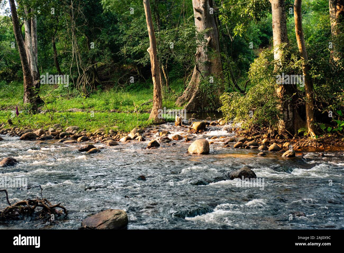 Chinnar river flowing through Chinnar Wildlife Sanctuary Stock Photo ...