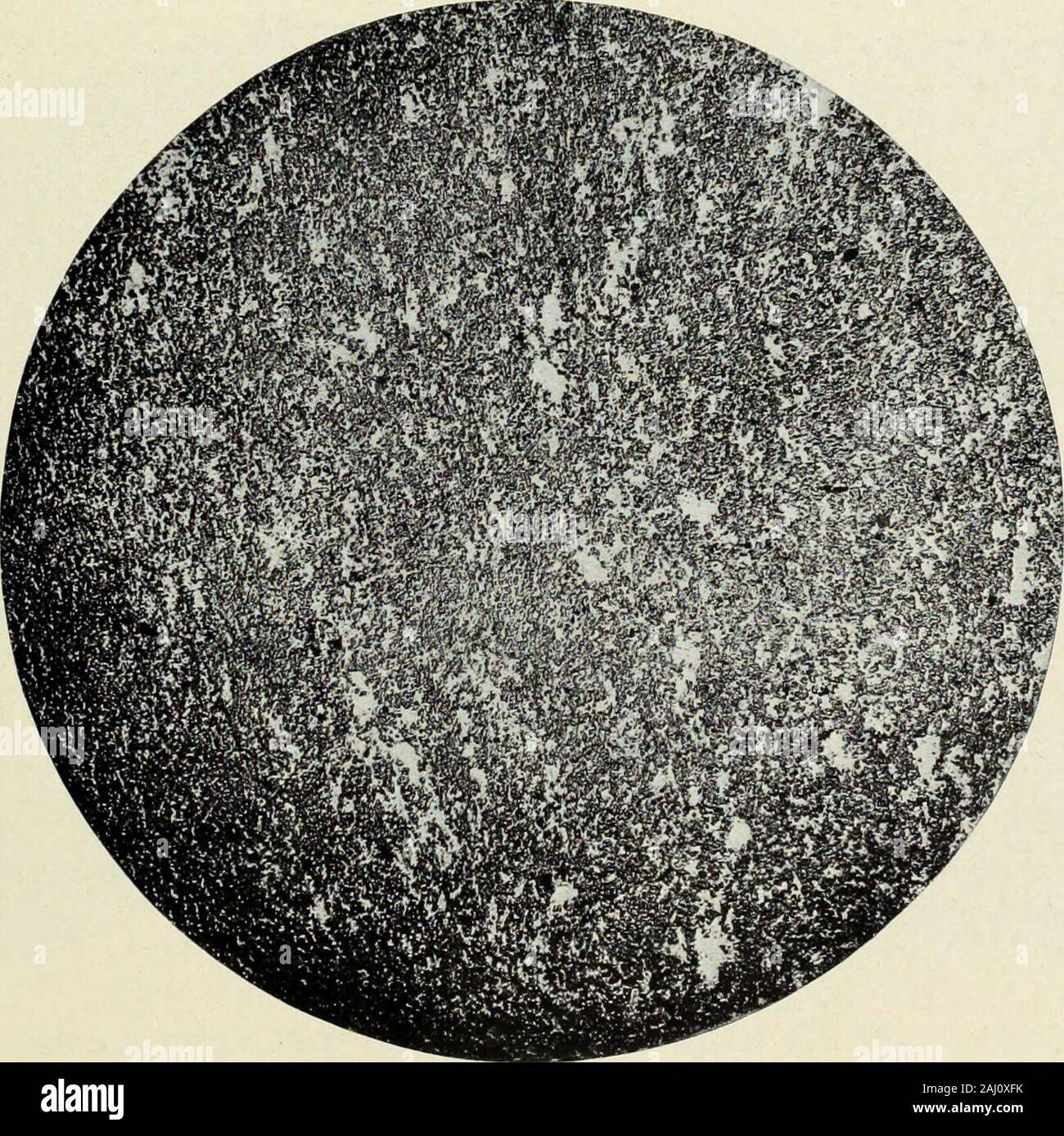 The ore deposits of Utah . A. PHOTOMICROGRAPH OF SPECIMEN SHOWING ...