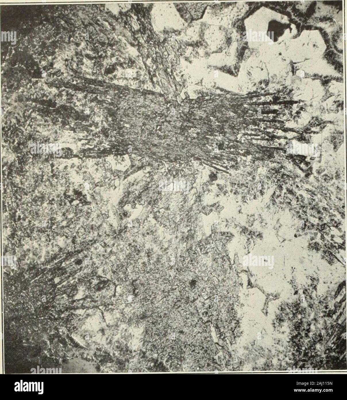The ore deposits of Utah . C. MINERALIZED QUARTZ MONZONITE BRECCIA ...