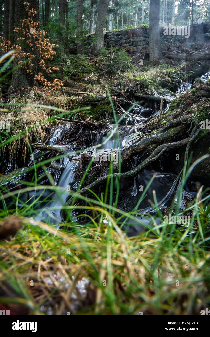 The Bohemian Forest, known in Czech as Sumava, is a low mountain range ...