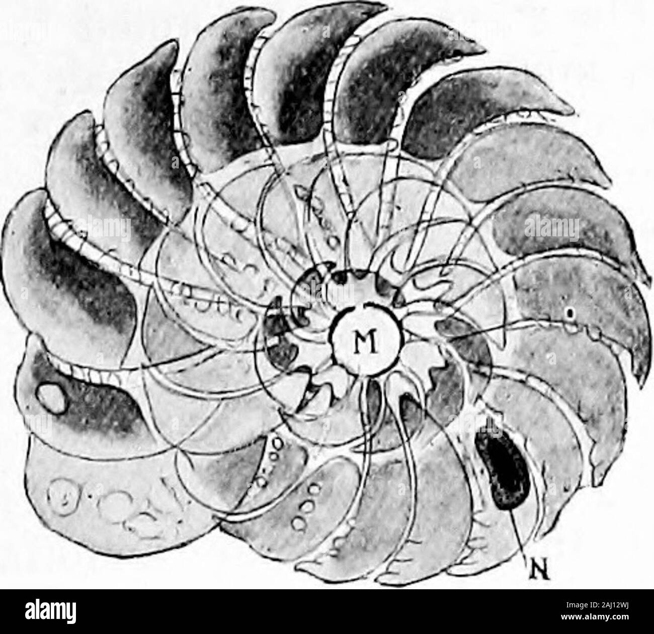 Microsphere Black and White Stock Photos & Images - Alamy