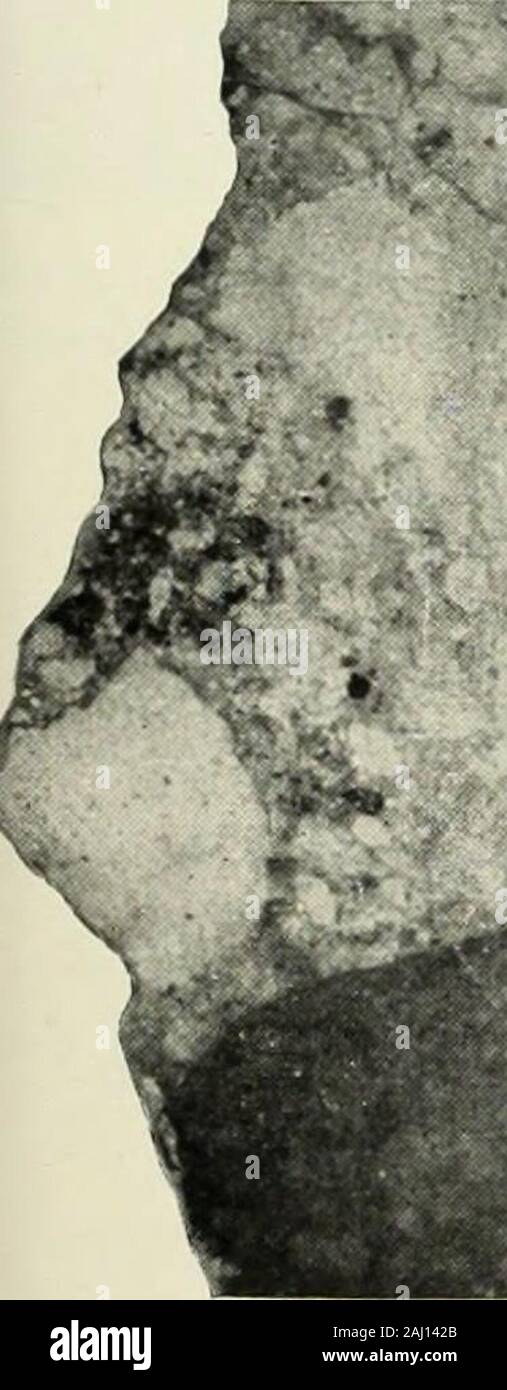 The ore deposits of Utah . ^•^- A. MINERALIZED LIMESTONE BRECCIA, OLD ...