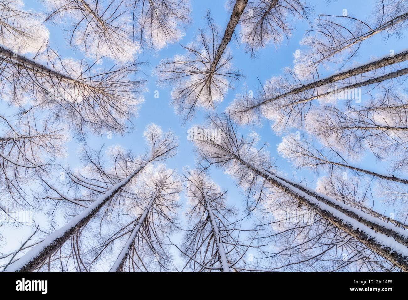 Harbin ice and snow world park hi-res stock photography and images - Alamy