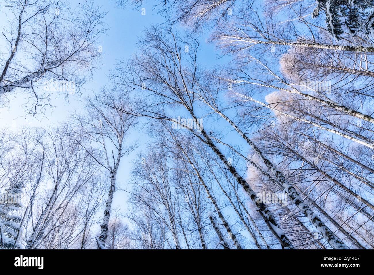 Harbin ice and snow world park hi-res stock photography and images - Alamy
