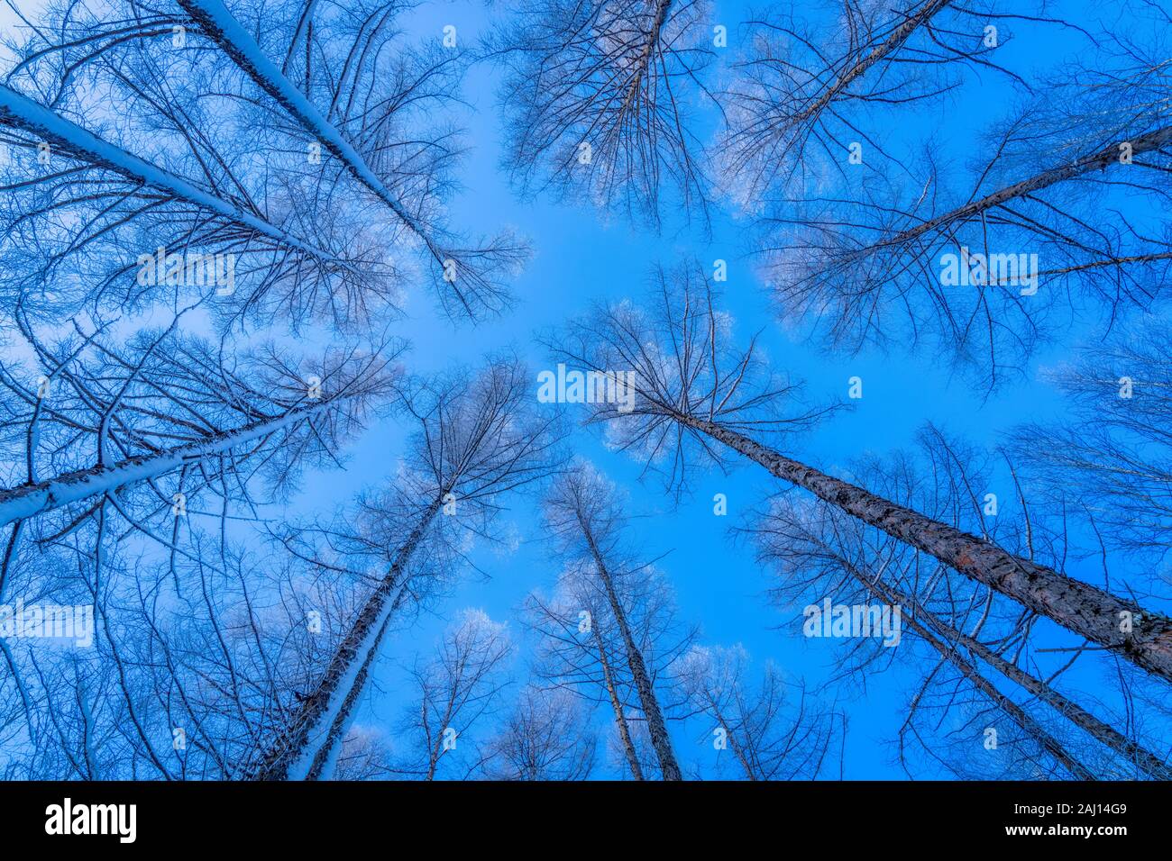 Harbin ice and snow world park hi-res stock photography and images - Alamy